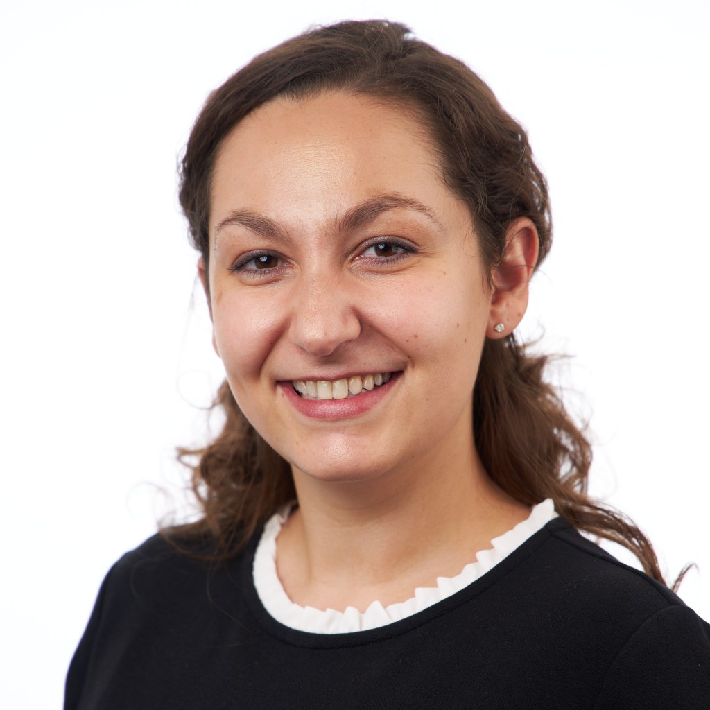 PsycheMERGE Diversity Initiative – workgroup – PsycheMERGE